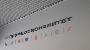 Профессионалитет