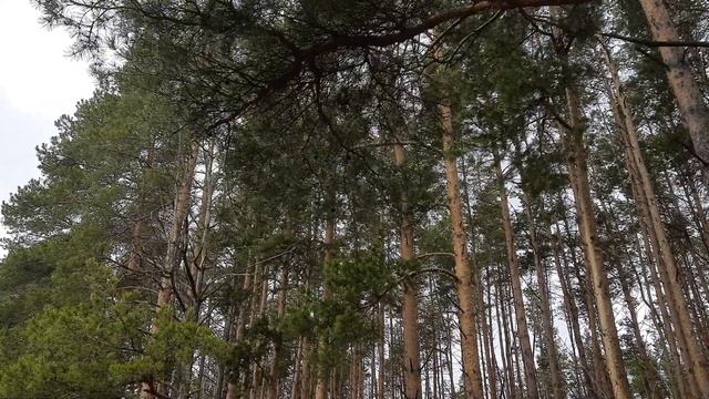 19 апреля 2022 г. Бор Нижегородской области