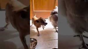 VID_20230801_220636_118