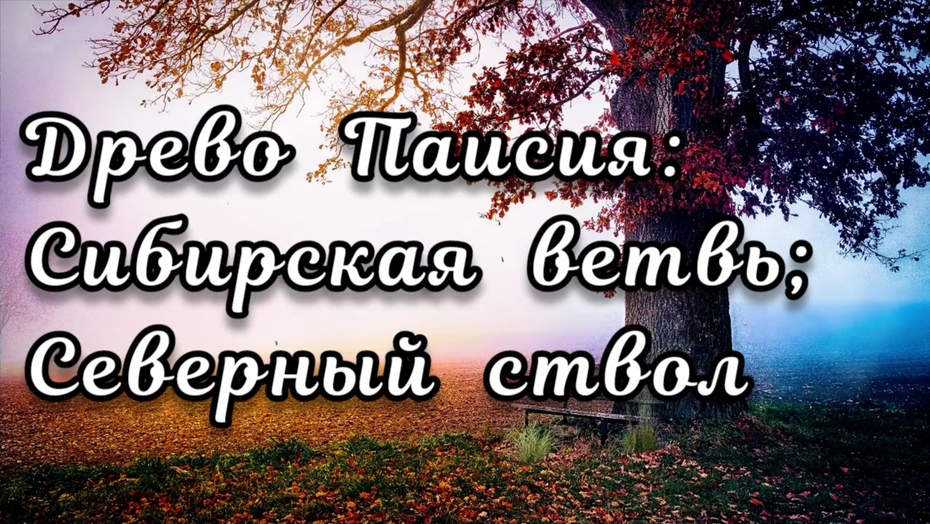Древо Паисия (Величковского). Часть 2: Сибирская ветвь и Северный ствол