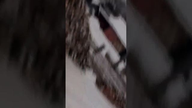 1000027223.mp4