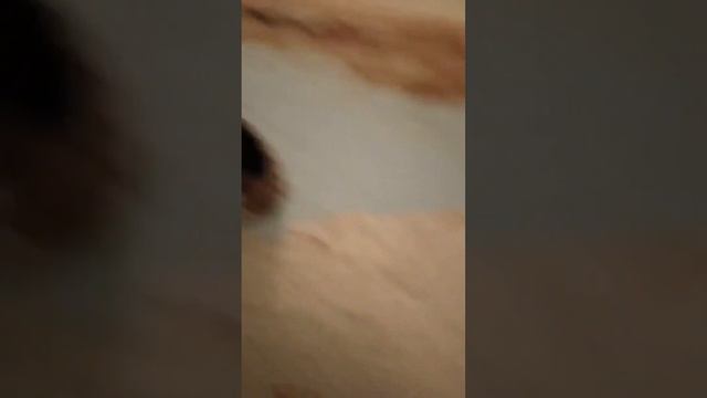 Обновление чугунной ванны в Саратове 89053846839