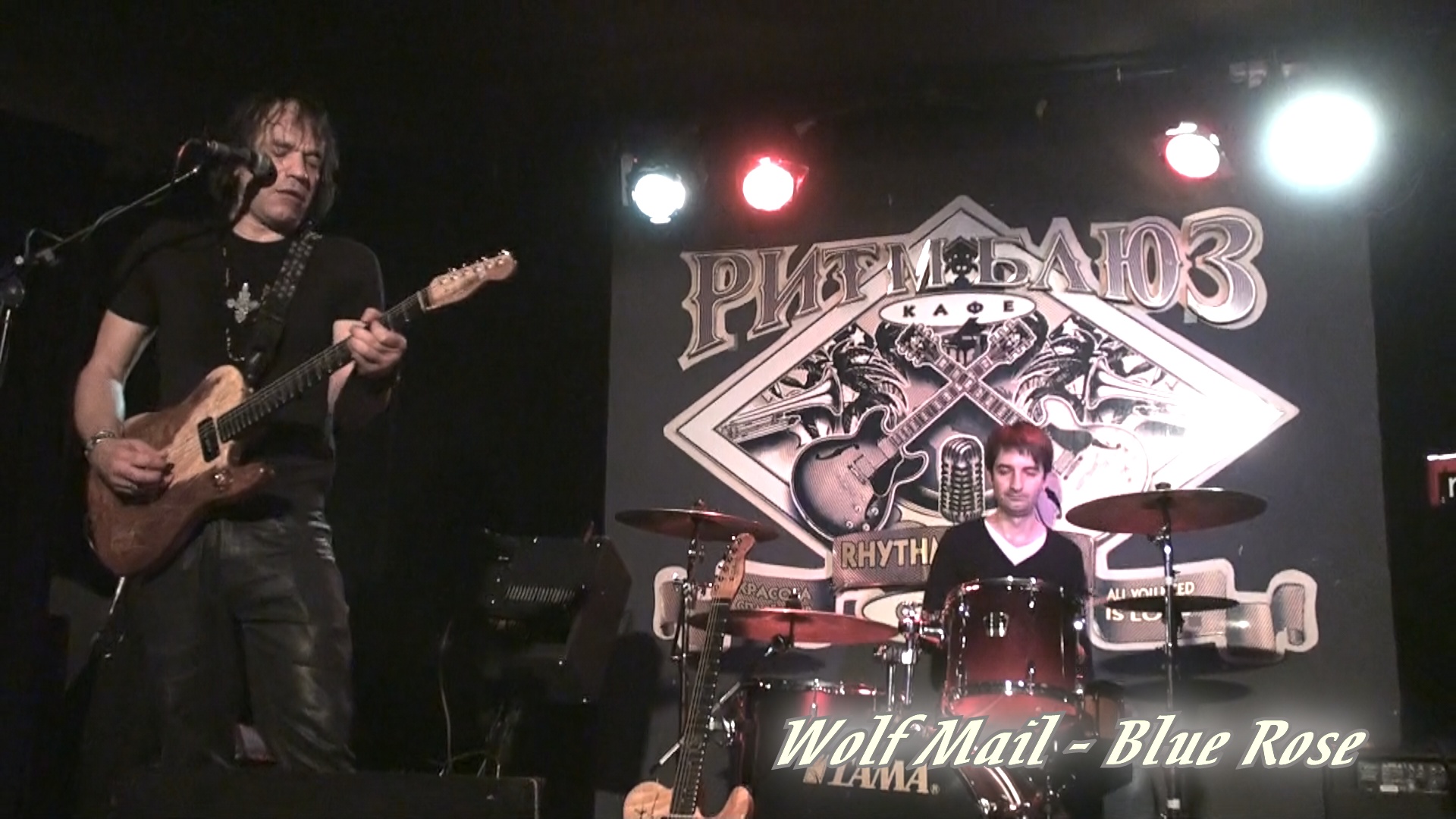 Wolf Mail - Blue Rose