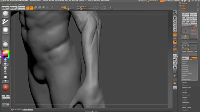 anatomy03_arms