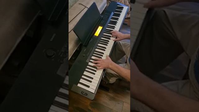 Casio cdp 220