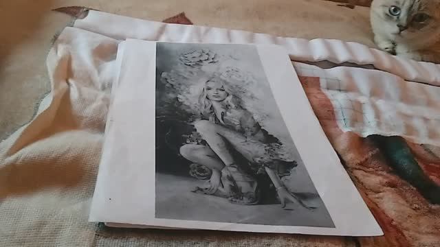 Проект по авторской схеме от Иволги "Виктория" отчет 63