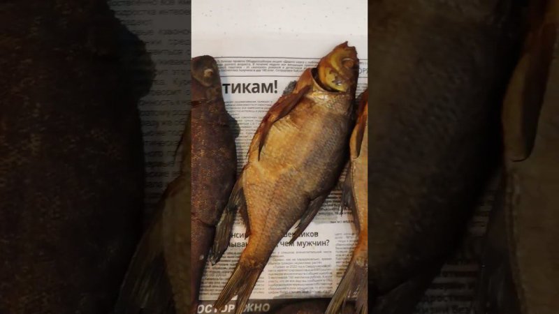 Закоптил рыбу. Линь. Подлещик