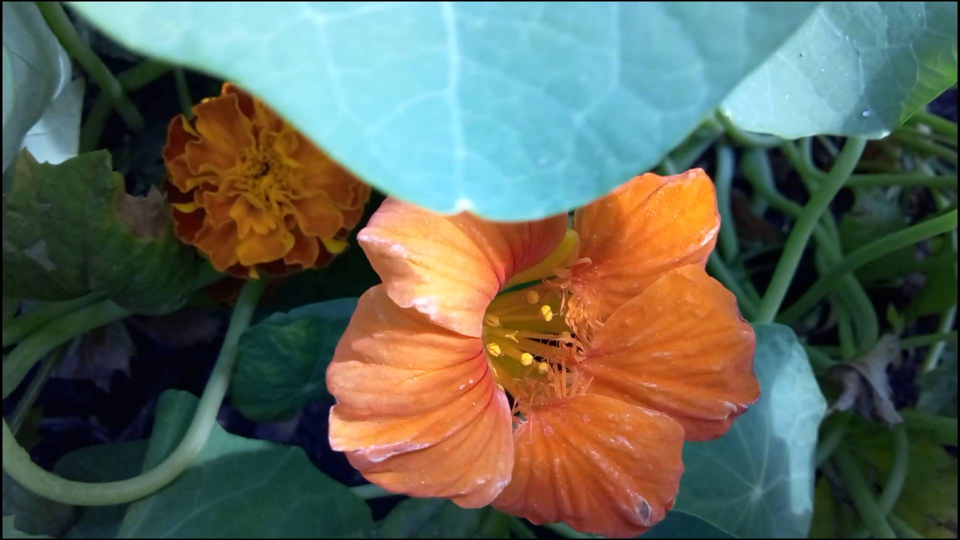 Добро пожаловать в осень 2024