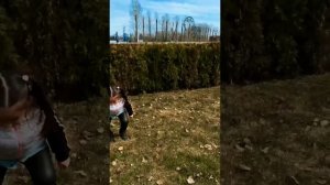 Убирайте за животными ?
