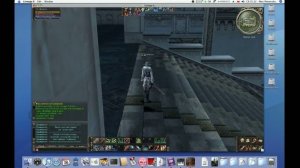 Lineage 2 The Gracia Epilogue Running on Mac OS X