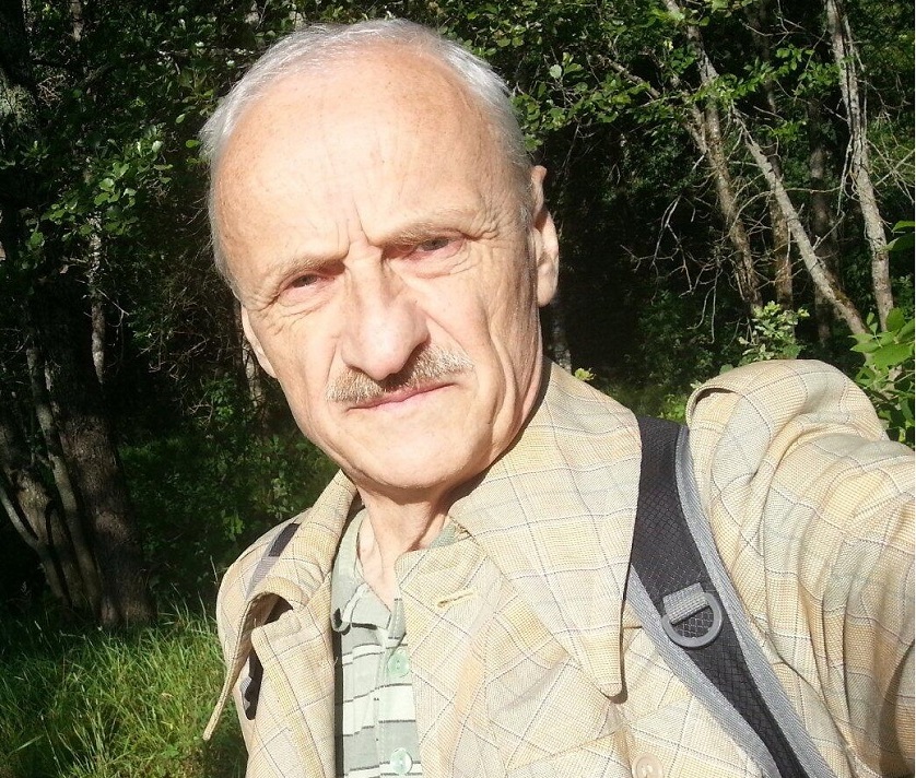 Ветви берёз.3gp