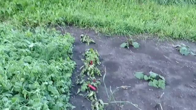 Последствия  ливня. Архив от 14.06.2021г.