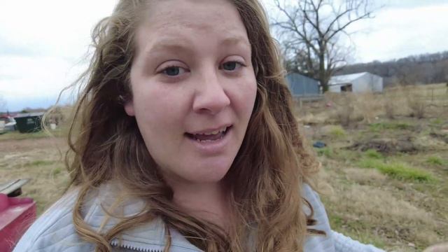 No dig tulips in deep hay mulch - planting over 3,000 tulips on my ...