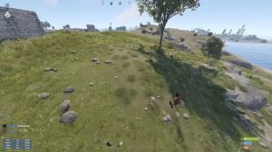 Cheats Rust.