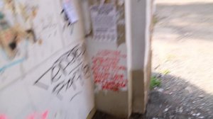 Арка: свежая кровь