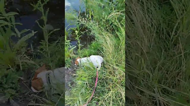 1000055760.mp4