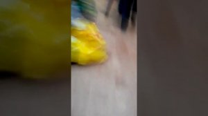 Дима бой