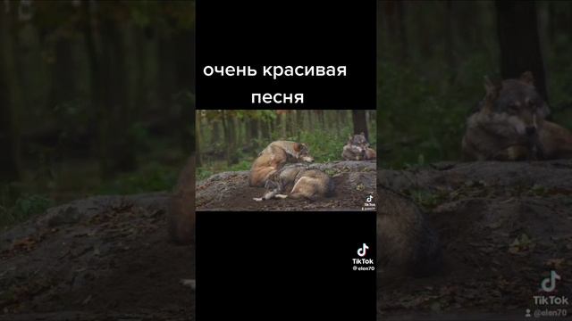 c8471cf81170a6b9b6765b2d38bebd28.mp4