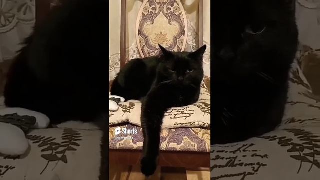 ?♥️.mp4