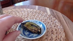 Два экзотических растения