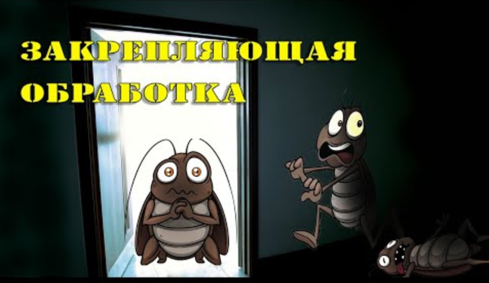 Закрепляющая спустя 3 недели.mp4
