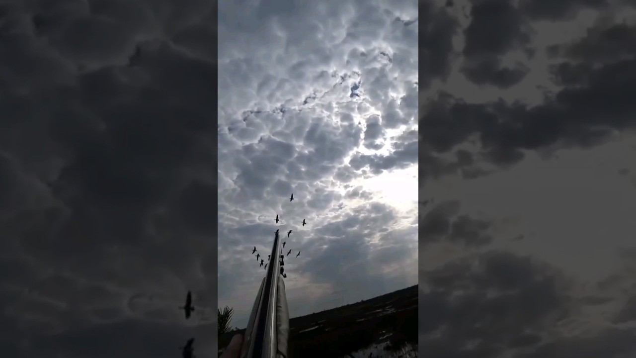 С Охоты На рыбалку на RUTUBE: 157 видео – смотреть онлайн и бесплатно ...