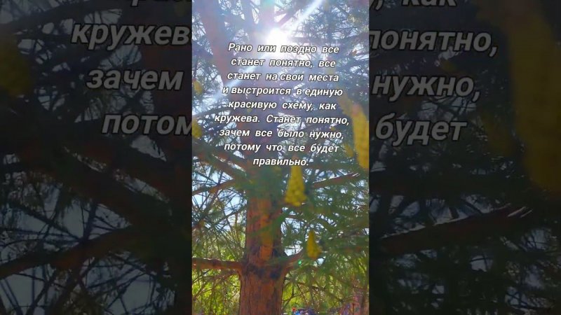 ЭГФ-ИТК. Контакт с ТОНКИМ МИРОМ.