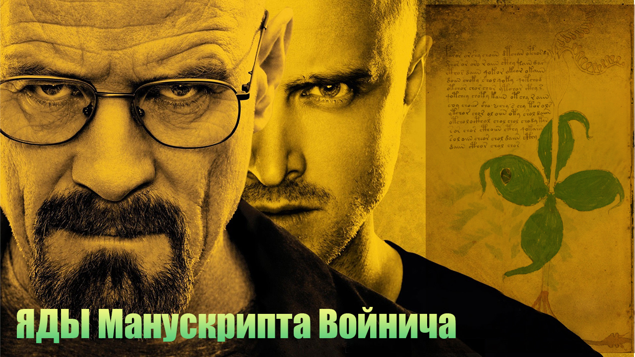 Круто! Как подчинять врагов с помощью тапка в Манускрипте Войнича! Перевод Павла Коннова.