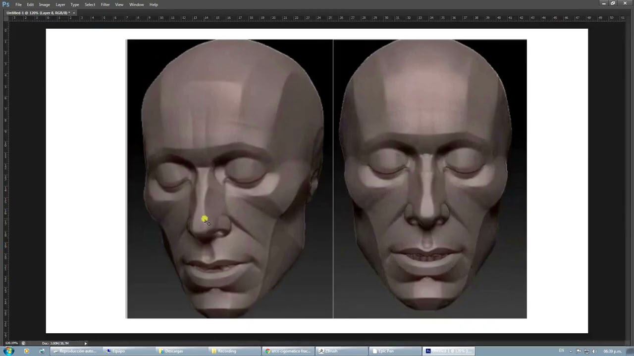 Anat Vol 02 11  Face Features 2 2