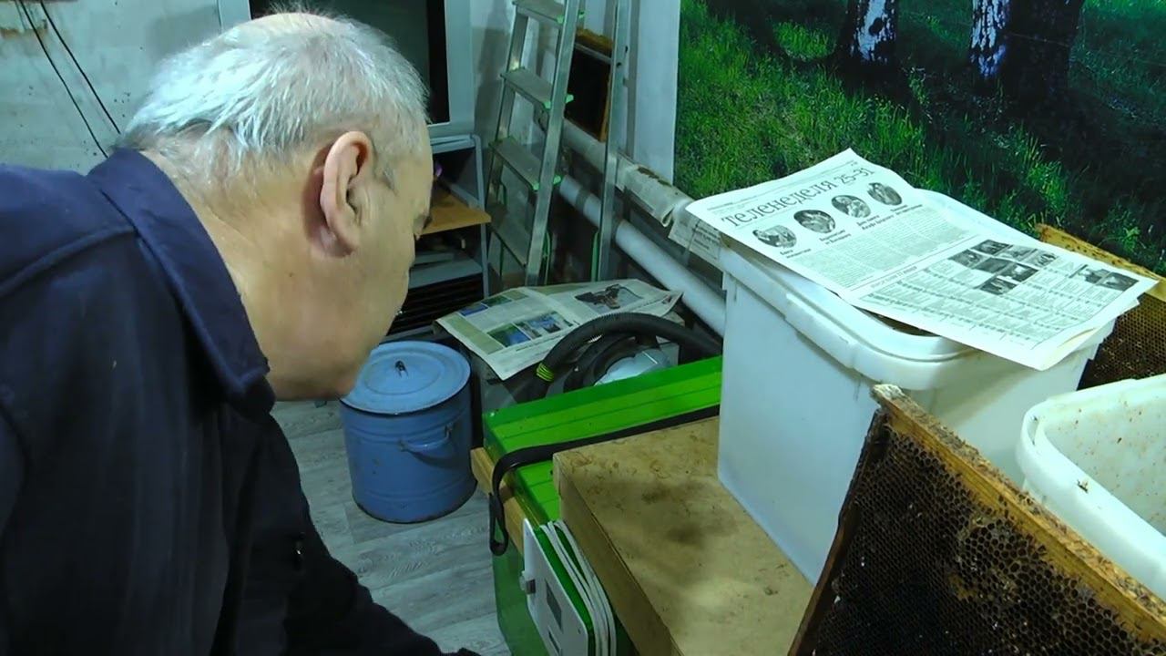 Запуск инкубатора с моляриями.Нефтекамск.Пчеловодство.