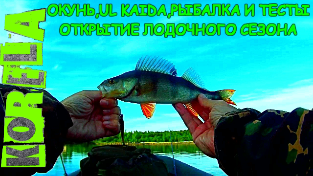 Тест UL KAIDA LEGEND 7гр