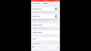 Voice Functions on iPhone