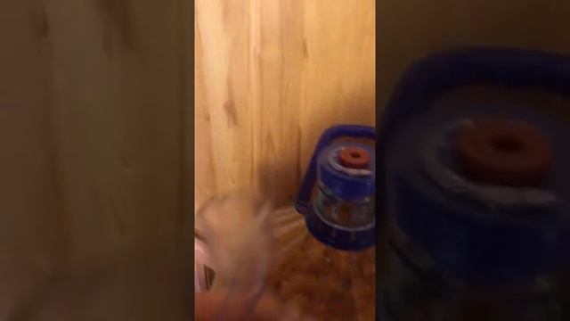 Гидрозатвор для производства браги и других продуктов брожения