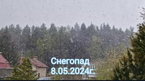 Снегопад  | 8.05.2024г.