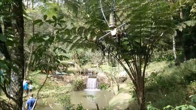 Жуть - очень большой паук часть 1.mp4