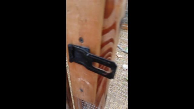 Секретное Блюдо при интервальном питании