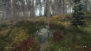 Один в поле не воин - DayZ