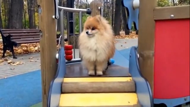 ПОВЕСТЬ О МАШЕ ИЗ ЛОСИНКИ.mp4