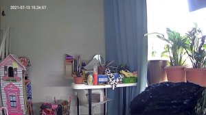 Съемка камера HIPER IoT Cam M4