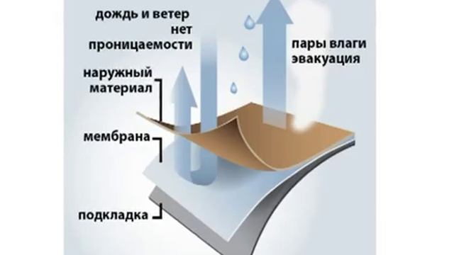 Бейсболка Скаут