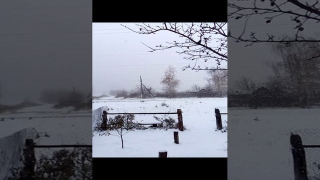 VID_20231026_163912