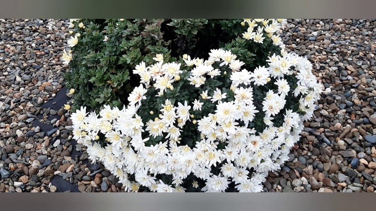 МЫ ПРИЕХАЛИ !!!! УРА !!!