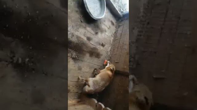 Бусинка