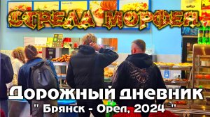 Стрела Морфея - "Дорожный Дневник. Брянск- Орёл.  2024 г"