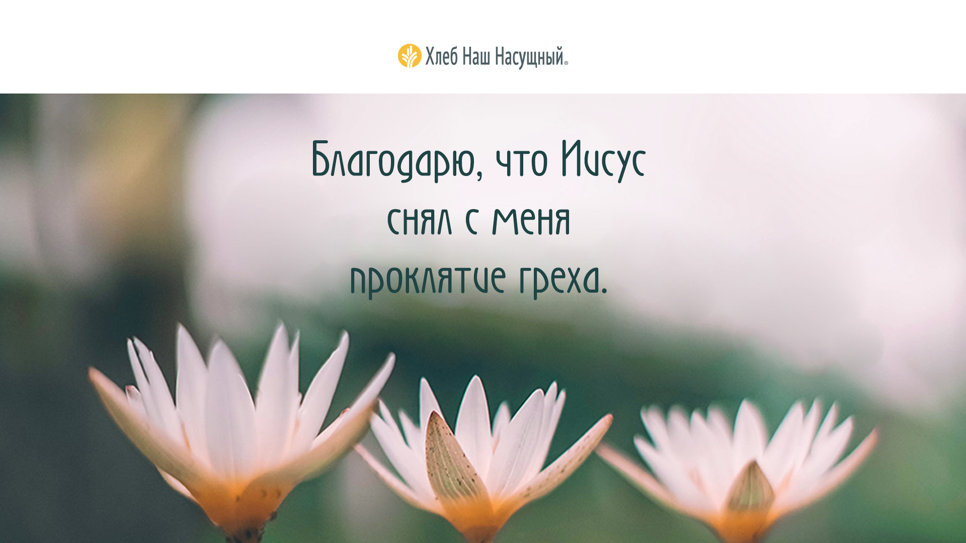 Не так	| Ежедневное христианское чтение |	16	апреля 2022