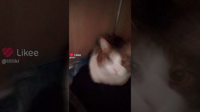 1000002582.mp4