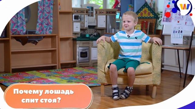 Почему лошадь спит стоя?