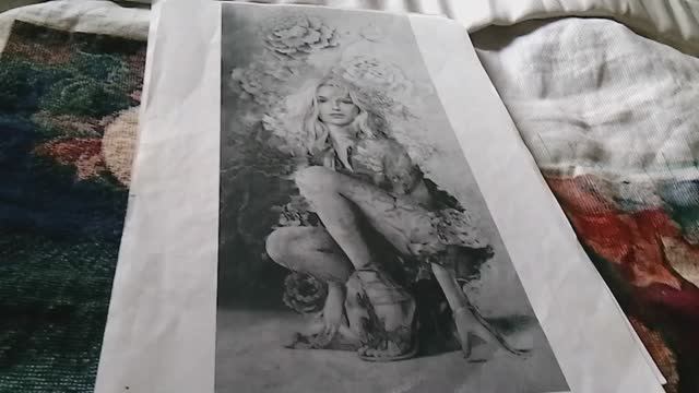 Проект по авторской схеме от Иволги "Виктория" отчет 62