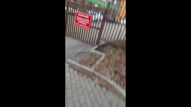 #ВлогоСезон 2022 4 ДНЯ В 1 ВЛОГЕ!!!