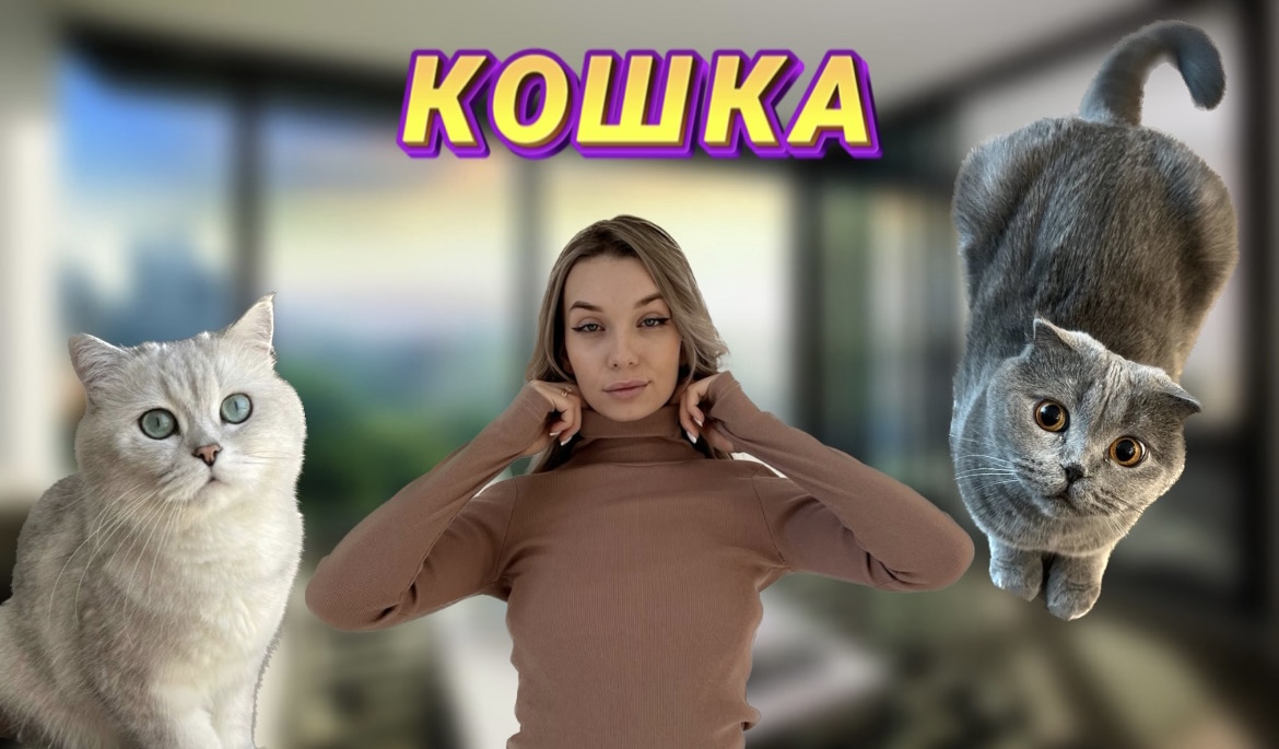 Животный мир. Кошки.